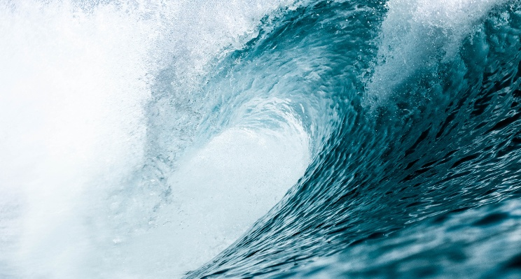 Channel Surfing, Part II: Reeling in Channel Partner POS Data